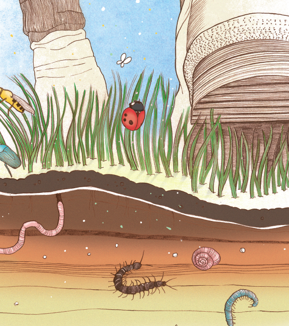 Boden, der die Welt bedeutet - BIORAMA