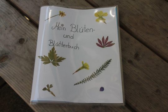 DIY: Blüten- und Blätterbuch - BIORAMA
