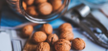 Die Frage nach der Nuss – Are we nuts!? | BIORAMA